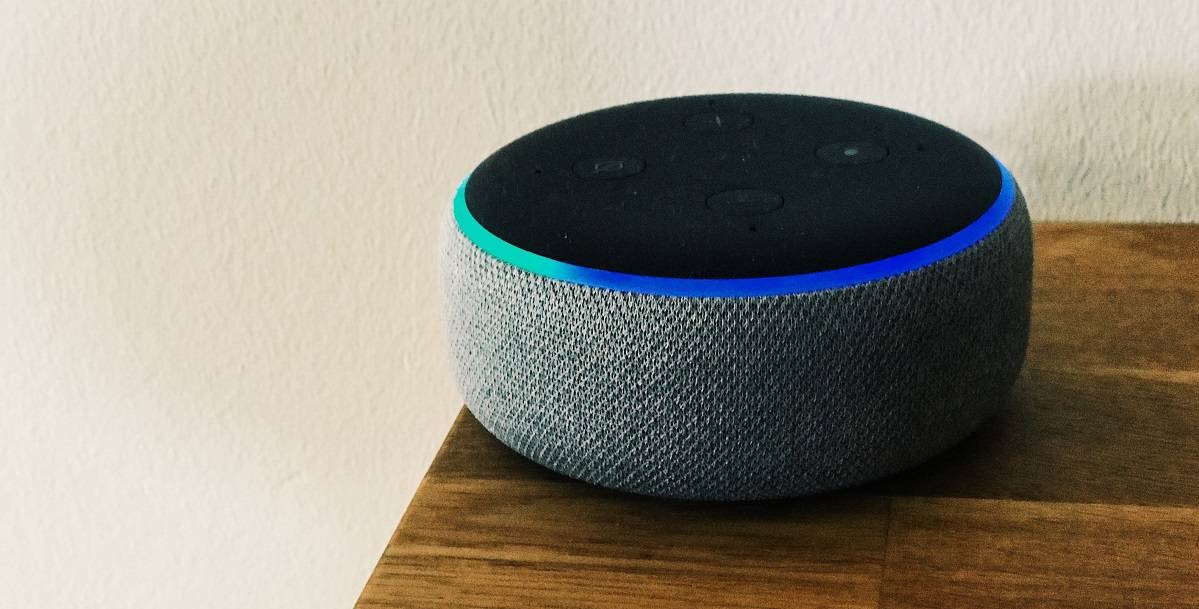 The best Alexa compatible products: 2021 update - The Dog House